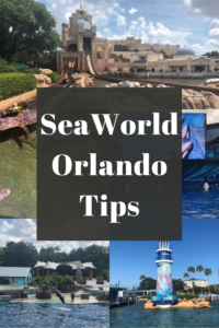 SeaWorld Orlando Tips - Put on Your Party Pants