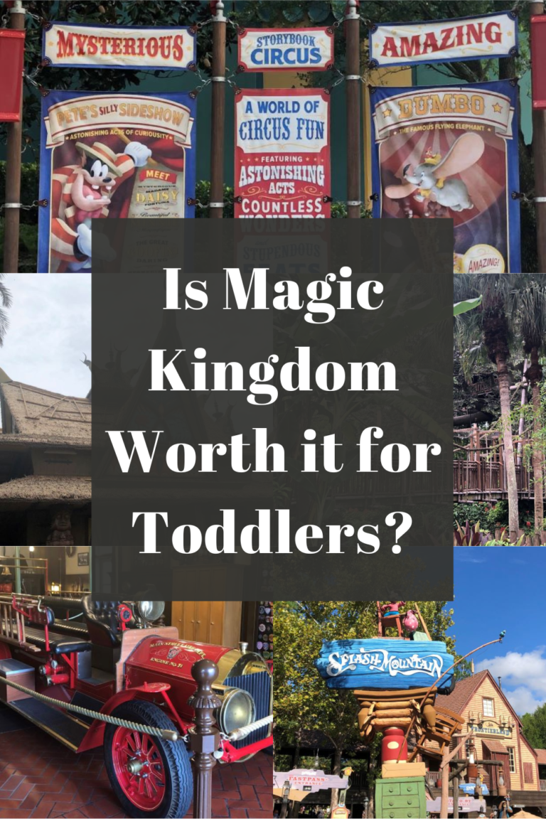 Is Magic Kingdom Worth it for Toddlers? - Put on Your Party Pants